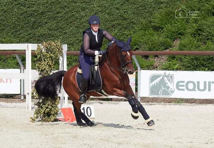 Royal dressage stable z.s.